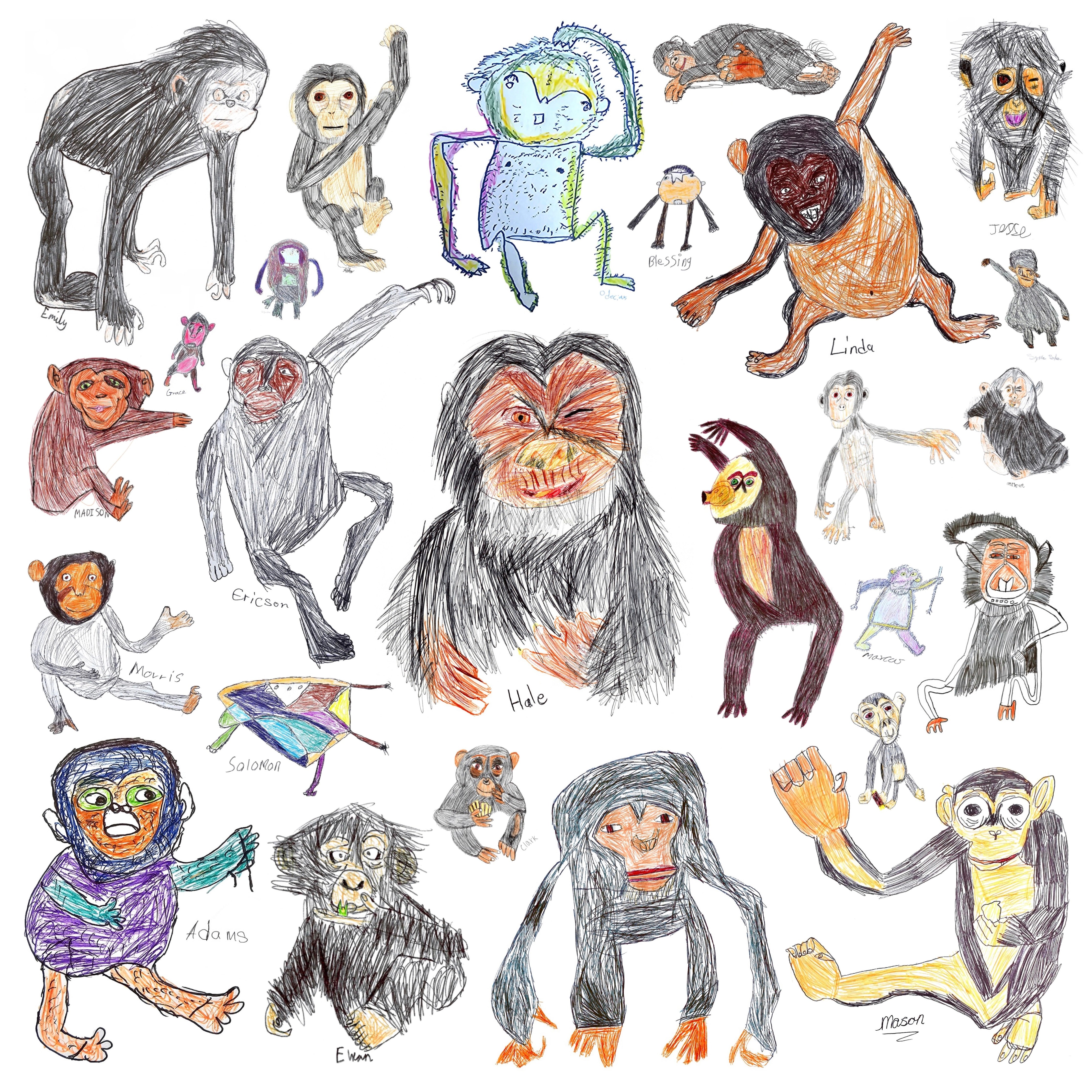 Chimpanzee Community Project – DRAWING FOR THE PLANET